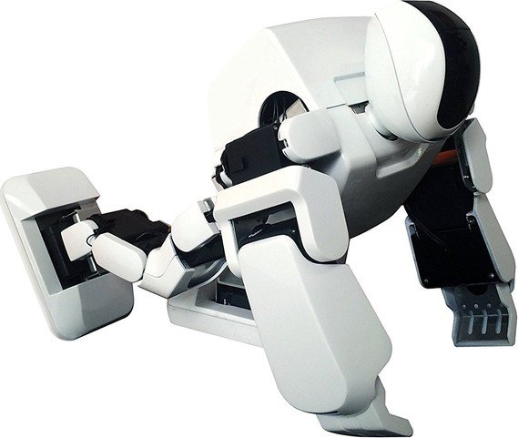 Робот Leju Robot Aelos Robot (AL-EN-E1E) купить | ELMIR - цена, отзывы ...