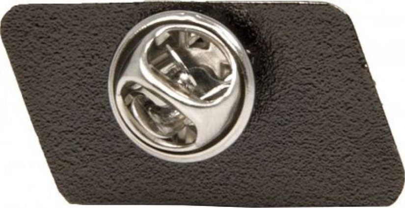 Значок FS Holding NAVI PIN 2017 (FNVFANPIN17BK0000) купить | ELMIR ...