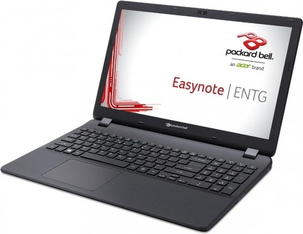 Ноутбук Packard Bell Easynote ENTG71BM-C6K8 (NX.C3UEU.011) купить ...
